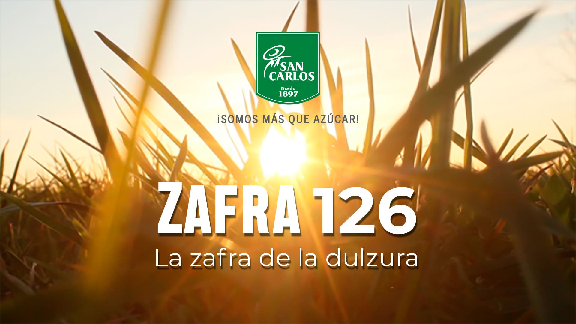San Carlos anuncia el inicio de la producción de la tradicional Zafra ...